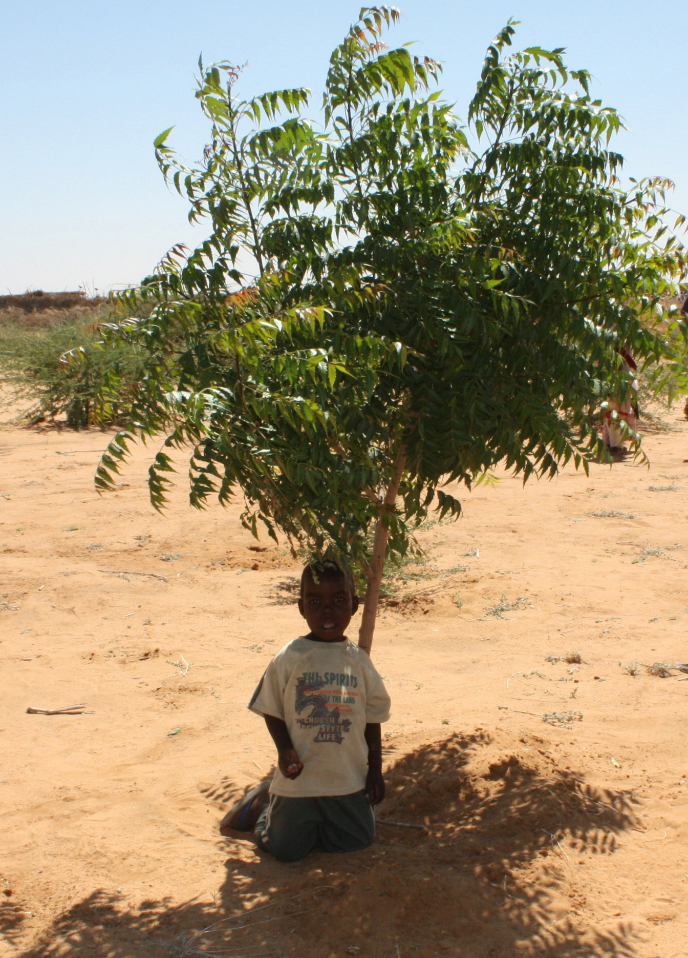 Trees for Climate Change | Kids For Kids