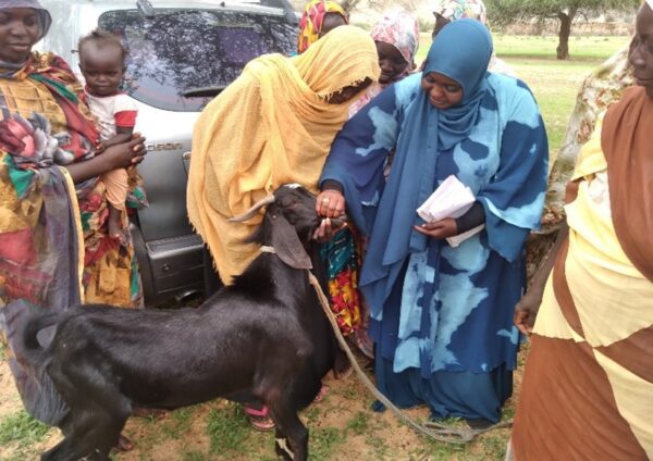Paravet Training gives Liyla, Children and Mothers in her village a ...