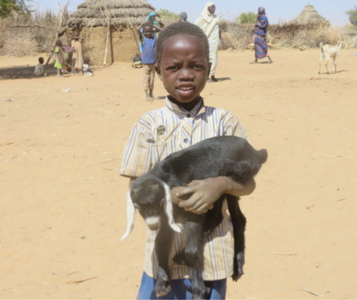 Delivering emergency aid - Kids for Kids