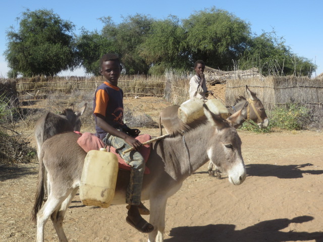 Our Goats and Donkeys are safe and much in need - Kids for Kids